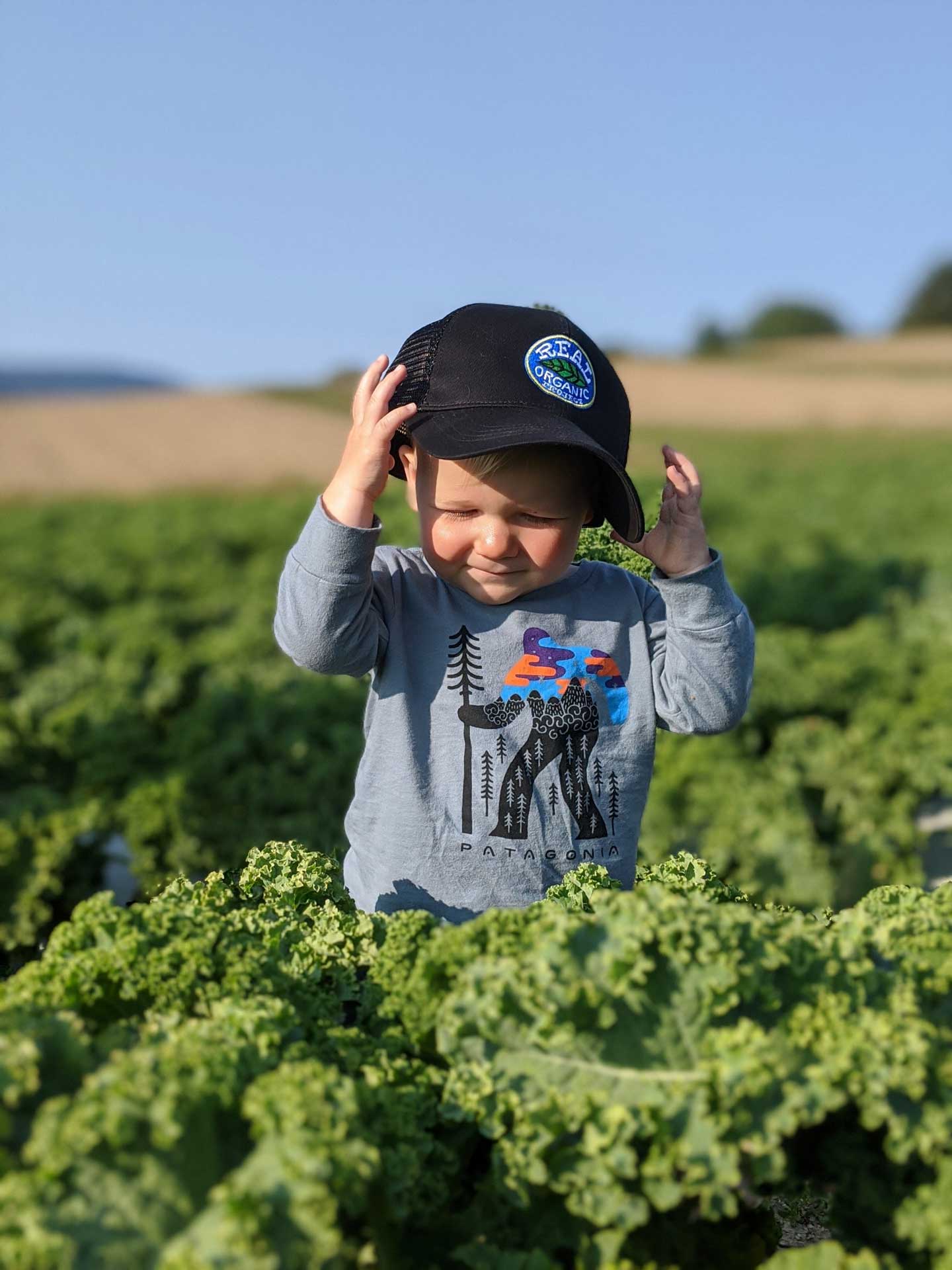 Healthy Food Systems - Lintilhac Foundation